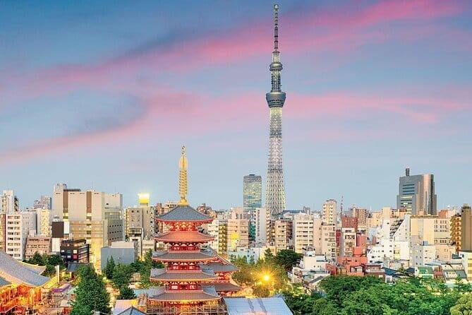 Tokyo Night Tour Customizable - Why This Night Tour Might Be Perfect for You