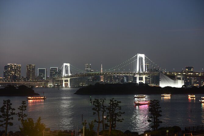 Tokyo Night View Guided Tour with Private Car and Driver - Analyzing the Value: Is It Worth It?