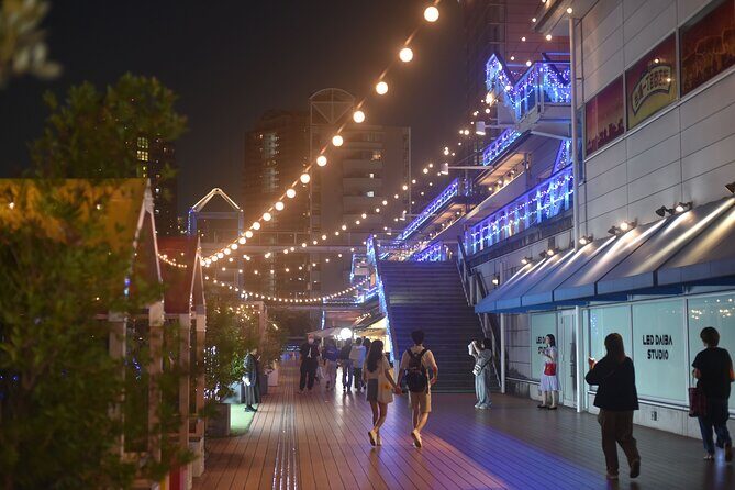 Tokyo Night View Guided Tour with Private Car and Driver - The Sum Up