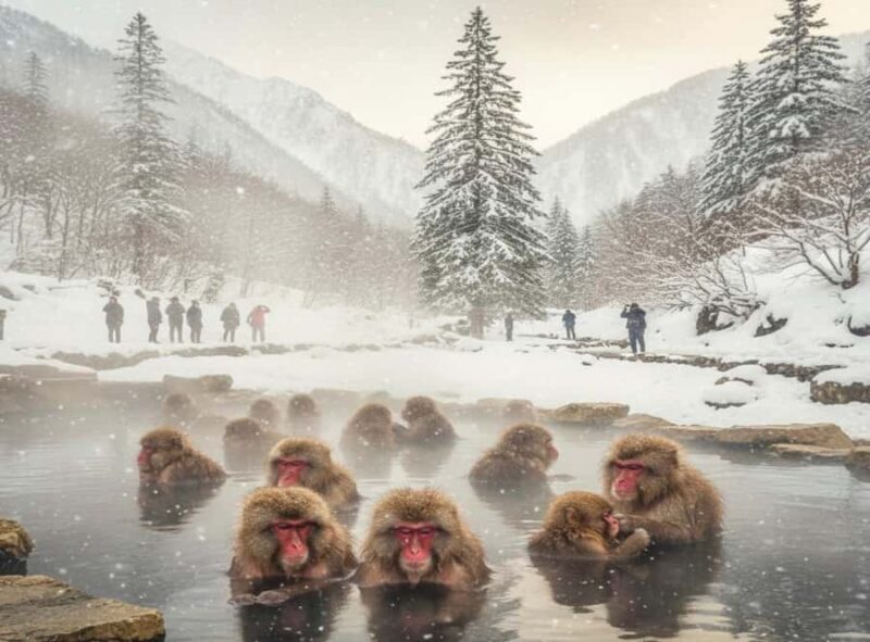 Tokyo: Nikko and Snow Monkey Park 2-Day Private Lexus Tour - An In-Depth Look at the Tour Experience