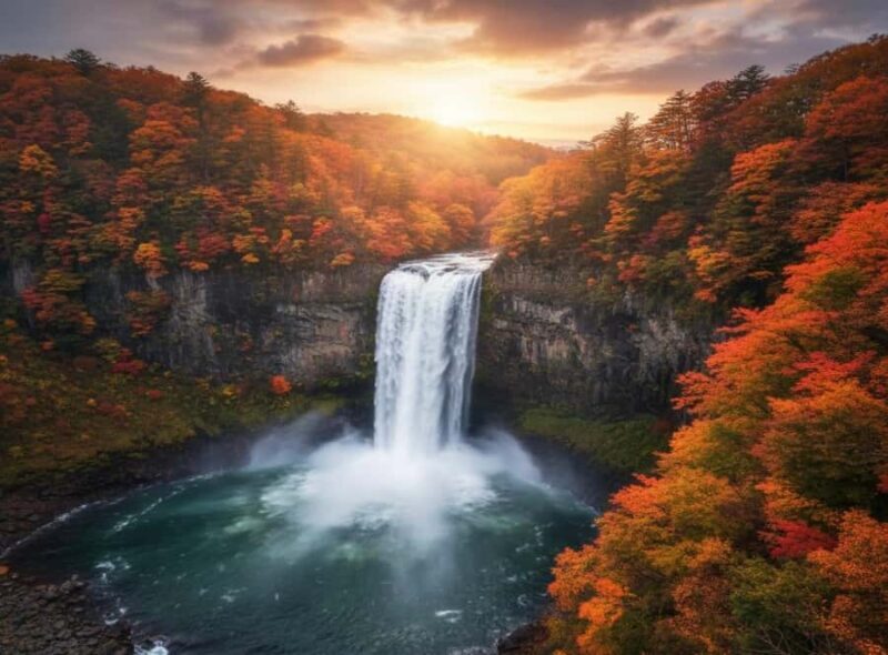 Tokyo: Nikko and Snow Monkey Park 2-Day Private Lexus Tour - Who Would Love This Tour?