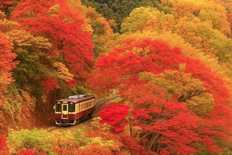 Tokyo: Nikko Autumn Irohazaka, Kegon Falls & Watarase Rail - The Itinerary: From Tokyo to Nature’s Canvas