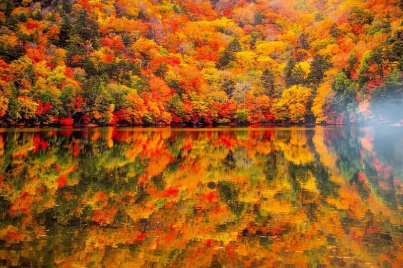 Tokyo: Nikko Autumn Irohazaka, Kegon Falls & Watarase Rail - The Bottom Line: Who Should Take This Tour?