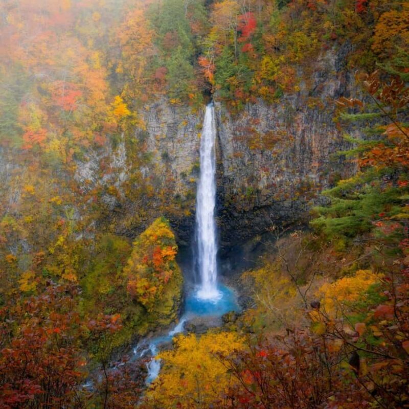Tokyo: Nikko Beautiful Full Day Personal And Private Tour - Key Points