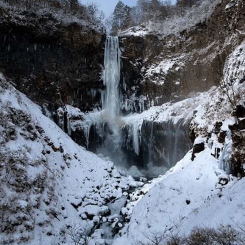 Tokyo: Nikko Chzen-ji Temple Private Full Customizable Tour - Unique Attractions and Family Fun