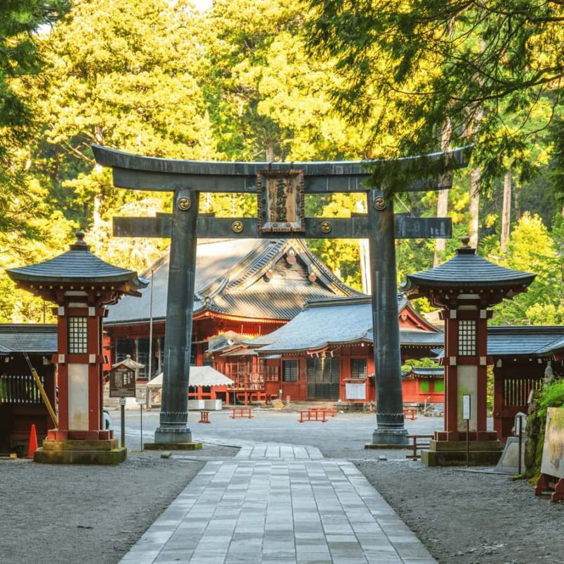 Tokyo: Nikko Cultural Private Day Tour Fully Customizable - Key Points