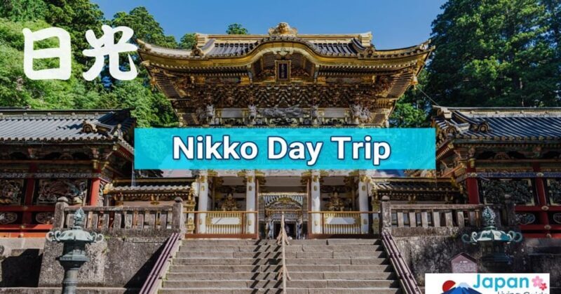 Tokyo: Nikko Day Tour with English Driver and Flexible - Who Should Consider This Tour?