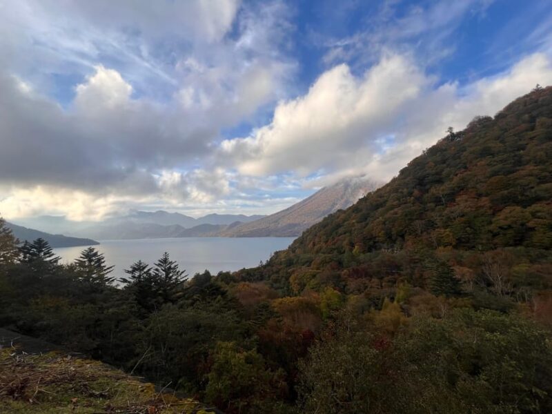 Tokyo: Nikko Day Tour with Private Vehicle and Guide - An In-Depth Look at the Experience
