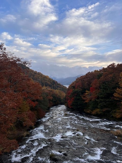 Tokyo: Nikko Day Tour with Private Vehicle and Guide - Who Should Consider This Tour?
