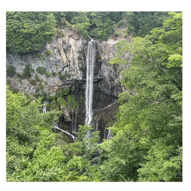 Tokyo: Nikko Kegon Falls Lake Chuzenji Toshogu Temple & More - An In-Depth Look at the Nikko Day Tour