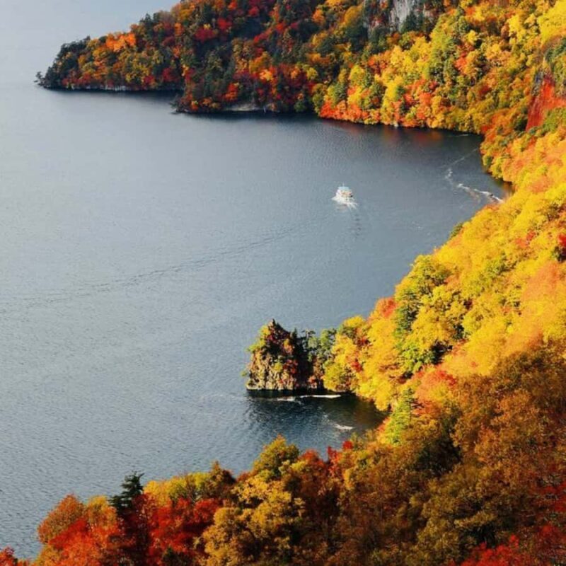 Tokyo: Nikko National Park Private Tour Customised Itinerary - The Sum Up