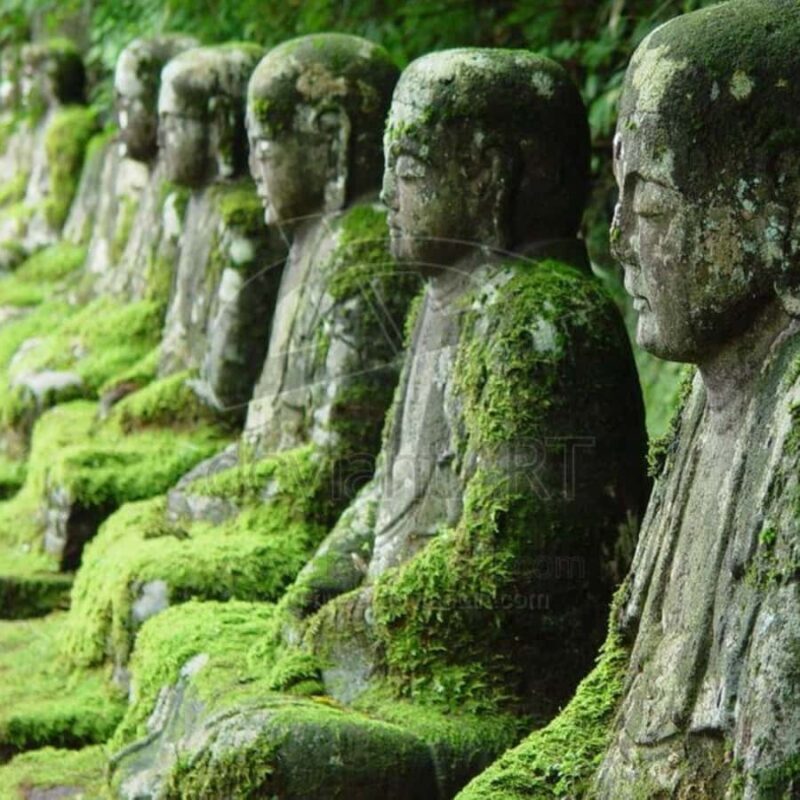 Tokyo: Nikko National Park Private Tour Customised Itinerary - FAQs