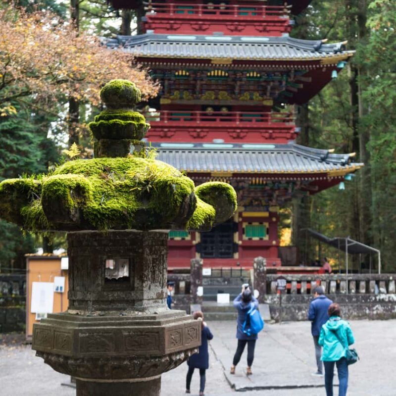 Tokyo: Nikko National Park Private Tour Hotel Pickup & Drop - The Practicalities and Value