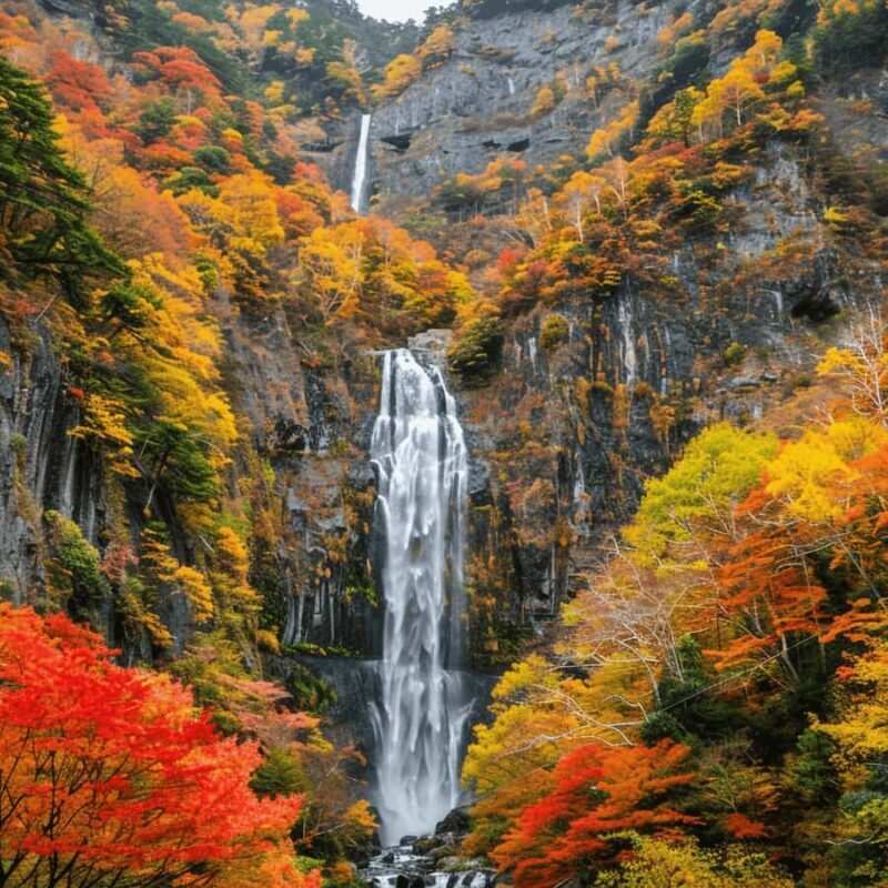 Tokyo: Nikko National Park Private Tour Hotel Pickup & Drop - The Sum Up: Who Will Love This Tour?