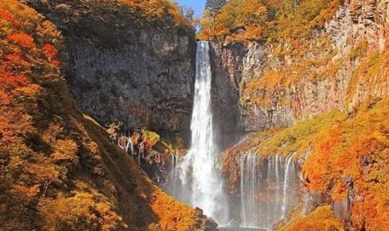 Tokyo: Nikko Private Customized Tour English Driver & Guide - Key Points