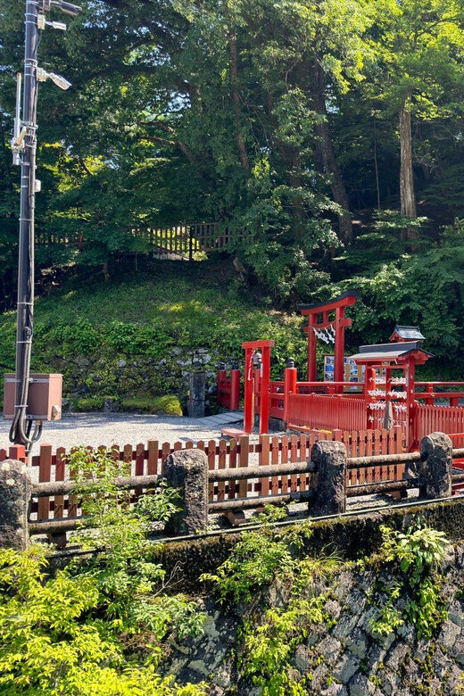 Tokyo: Nikko Private Day Tour - An Authentic Journey into Nikko’s Heart