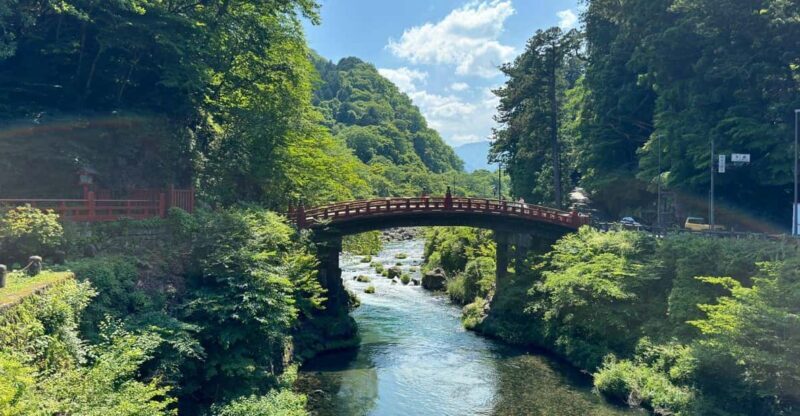 Tokyo: Nikko Private Day Tour - Who Will Love This Tour?