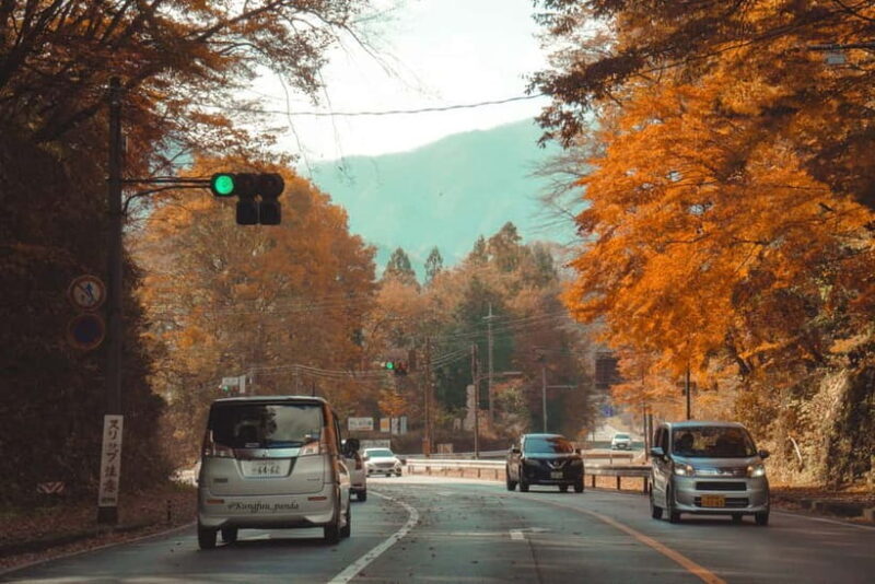 Tokyo: Nikko Private Day Tour with English Speaking Driver - Key Points