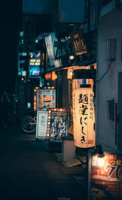 Tokyo: Nikko Private Day Tour with English Speaking Driver - A Deep Dive into the Experience