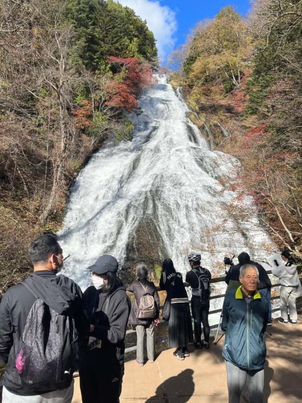 Tokyo: Nikko Private Day Tour with Pickup - A Full Breakdown of the Tour