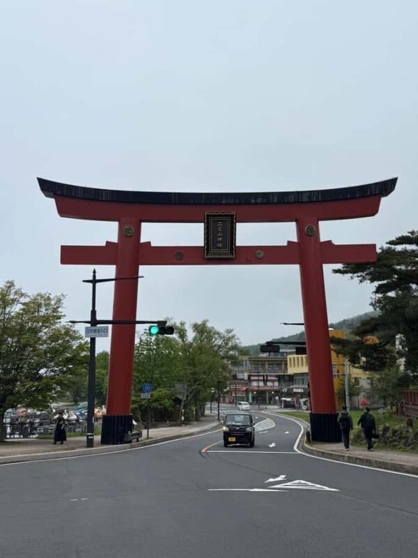 Tokyo: Nikko Private Day Tour with Pickup - Who Should Consider This Tour?