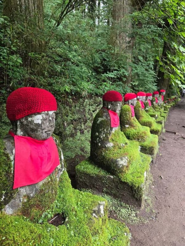 Tokyo: Nikko Private Day Trip with Guide and Transport - A Deep Dive into the Tour Experience