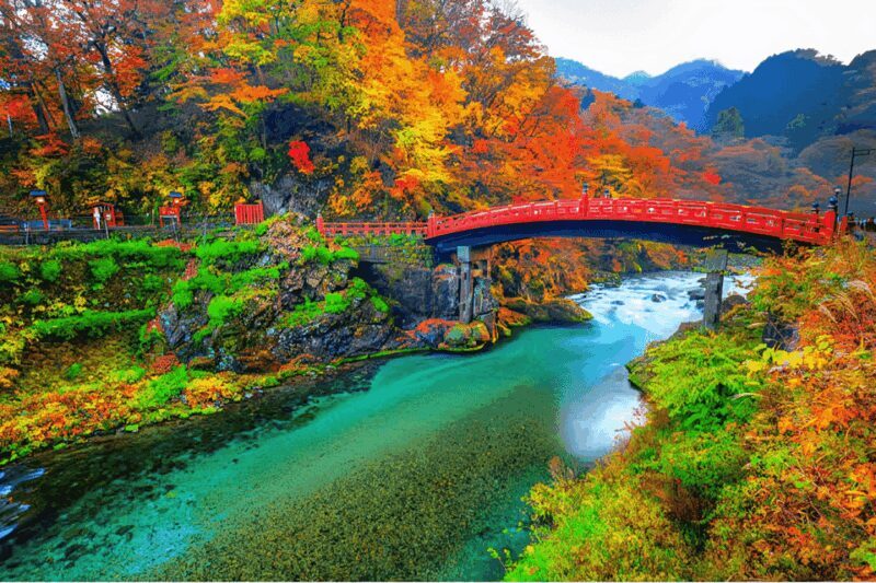 Tokyo: Nikko Private Sightseeing Day Trip with Driver - Final Thoughts: Who Will Enjoy This Tour?