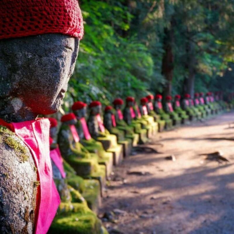 Tokyo: Nikko Private Tour hotel pick and drop customizable - Highlights of Nikko: Sights and Scenic Stops