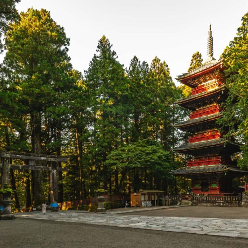 Tokyo: Nikko Private Tour hotel pick and drop customizable - Who Is This Tour Best For?
