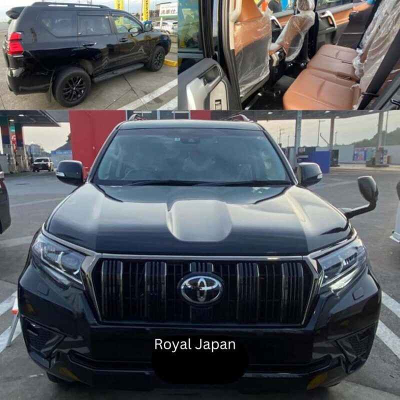 Tokyo: Nikko Private World Heritage Day Tour Full Customised - An In-Depth Look at the Tour Experience