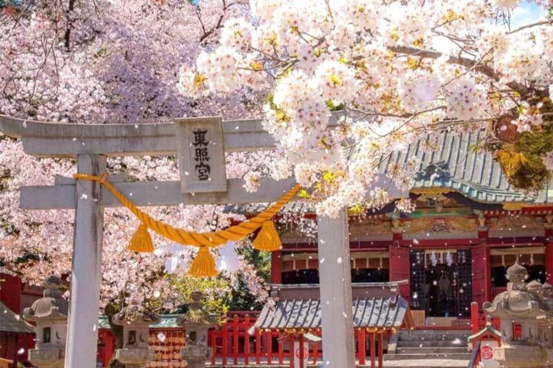 Tokyo: Nikko Shrines, Waterfalls & Scenic Day Trip - Key Points