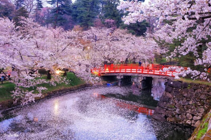 Tokyo: Nikko Shrines, Waterfalls & Scenic Day Trip - Who Would Enjoy This Tour?