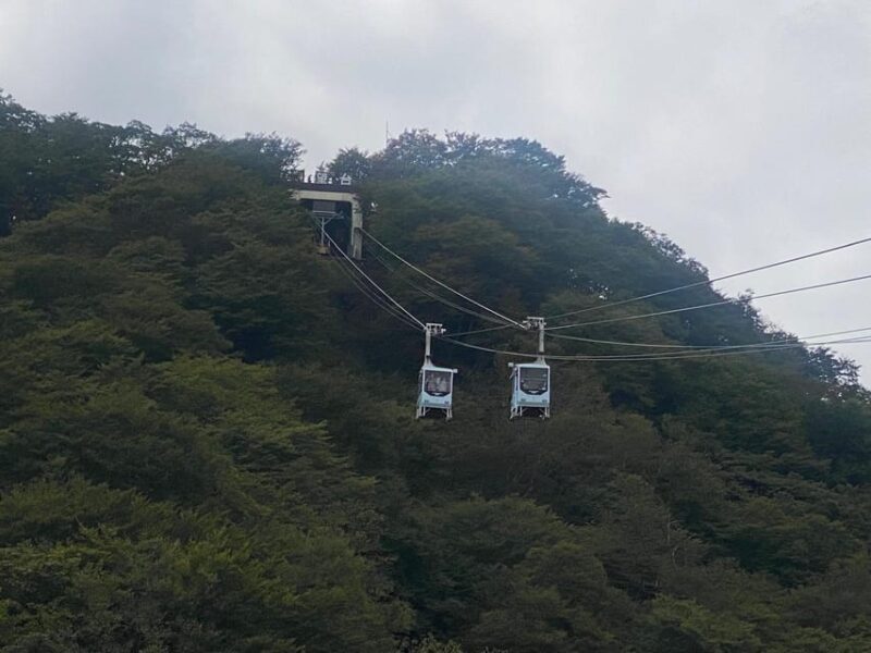 Tokyo: Nikko Unesco Heritage Private Day Tour & Hotel Pickup - The Full Experience: What Really Happens During the Day
