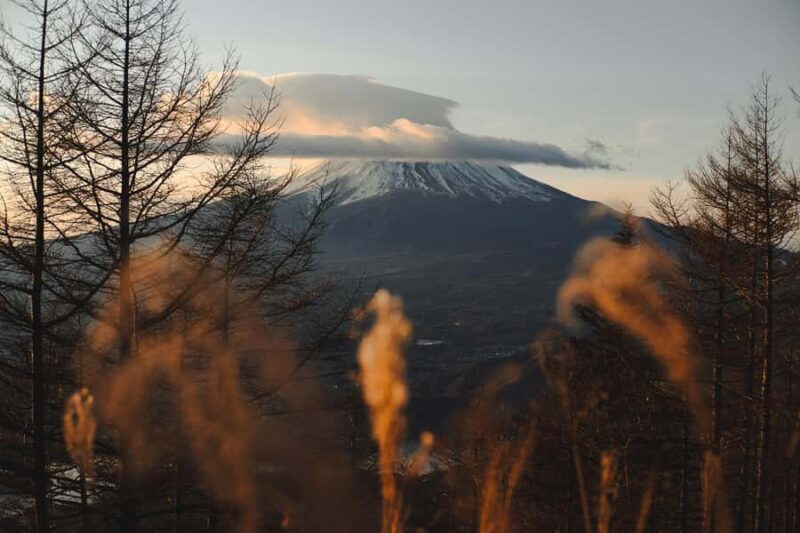 Tokyo: Nikko UNESCO & Nature Day Trip with Scenic Hike Drive - Who This Tour Is Best For