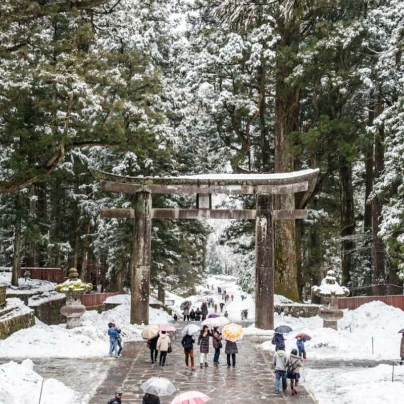 Tokyo: Nikko Unesco World Heritage Private Tour Customizable - Key Points