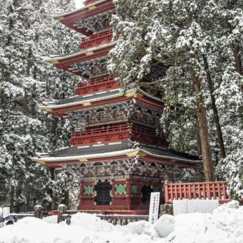 Tokyo: Nikko Unesco World Heritage Private Tour Customizable - Practical Details and Value