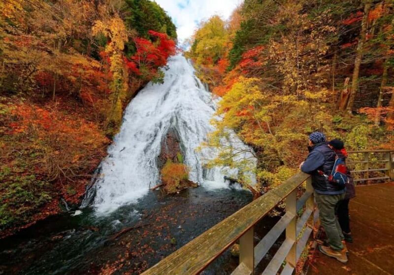 Tokyo: Nikko World Heritage Full-Day Private Tour - A Detailed Look at the Experience