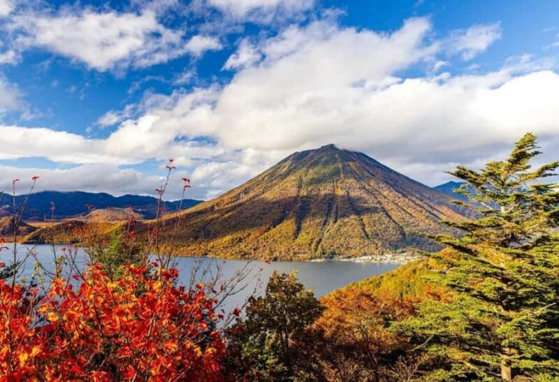 Tokyo: Nikko World Heritage Full-Day Private Tour - FAQ