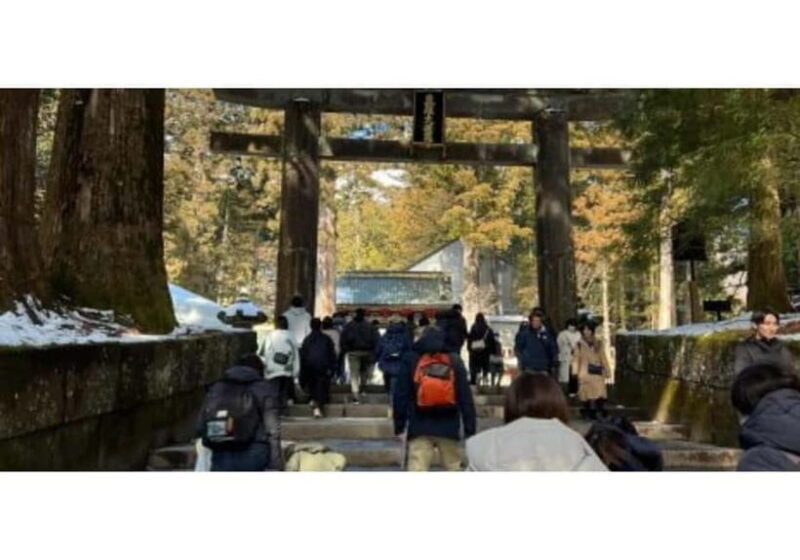 Tokyo: Nikko World Heritage Private Day Trip Hotel Pick-up - Key Points