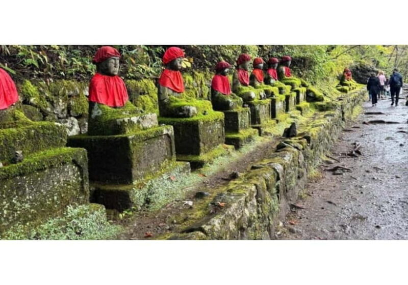 Tokyo: Nikko World Heritage Private Day Trip Hotel Pick-up - What to Expect from the Experience