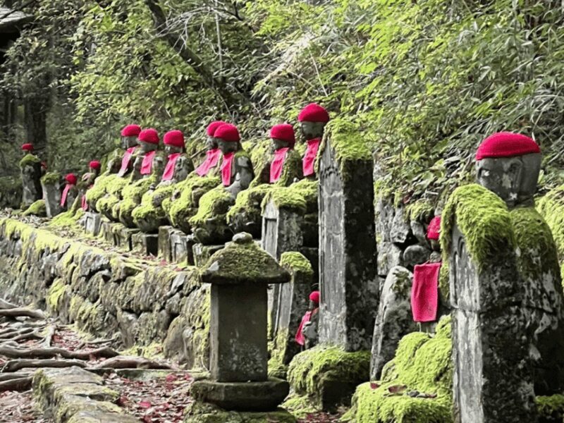 Tokyo: Nikko World Heritage Private Day Trip Hotel Pick-up - Final Thoughts