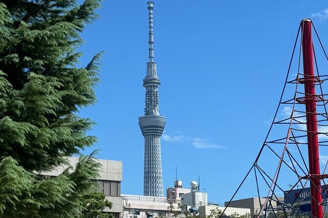 TOKYO , No1 Yokozuna Stable Morning Practice in Ryogoku - Final Thoughts