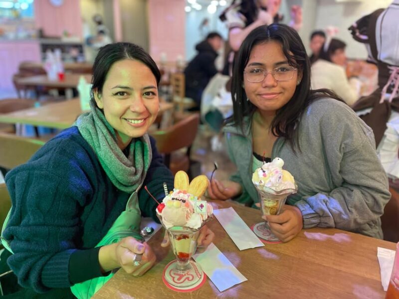 Tokyo: Nostalgic Anime and Retro Gaming in Akihabara - Final Thoughts