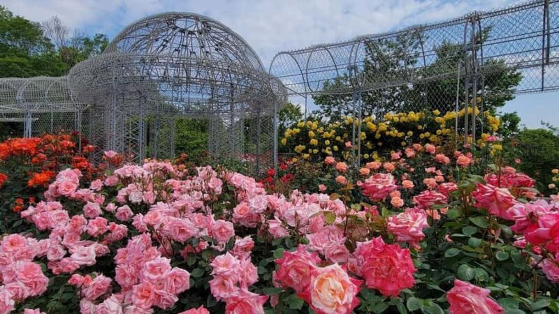 Tokyo: Odawara & Hakone Day Tour with Castle Entry - Exploring Tokyo’s Day Trip to Odawara & Hakone with Castle Entry