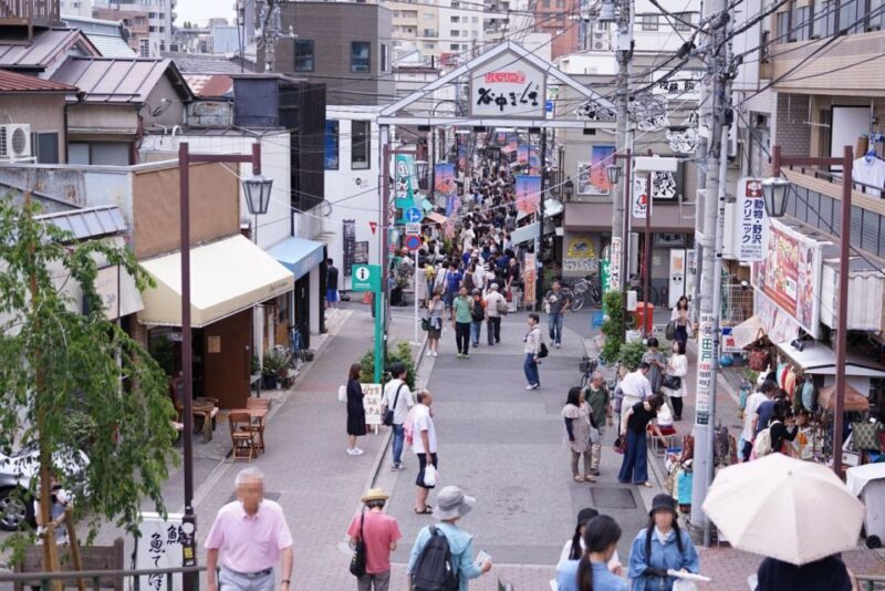 Tokyo: Off the Beaten Path Private Guided Tour - A Personal View of the Tokyo Hidden Gems