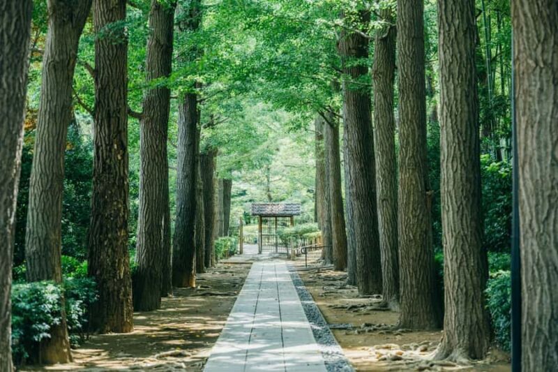 Tokyo: Ogikubo Walking Tour with Local Ramen Culture - Who Should Consider This Tour?
