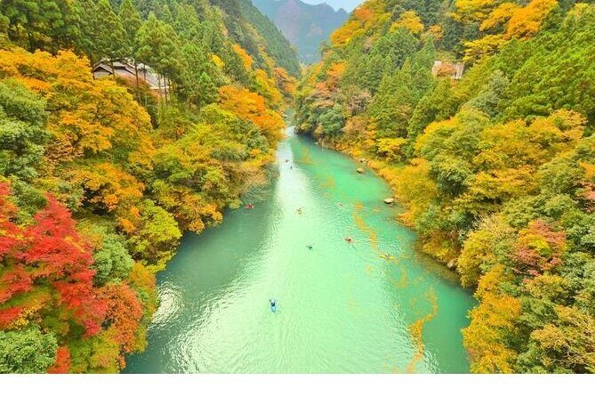 Tokyo Okutama Day trip Tour - Key Points