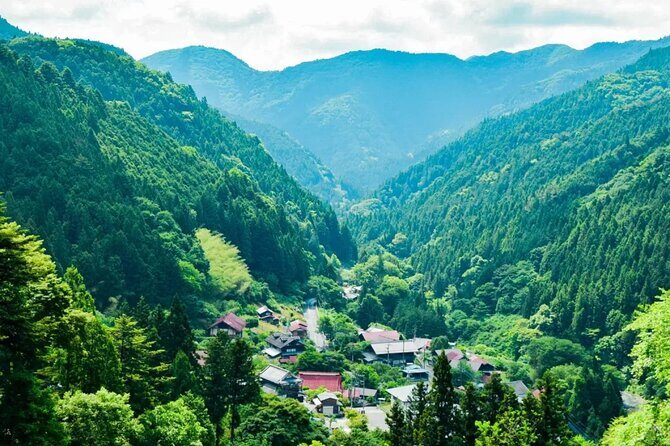 Tokyo Okutama Day trip Tour - Who Will Love This Tour?