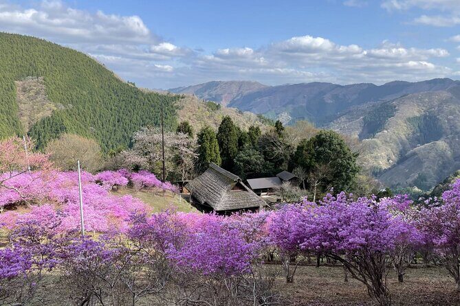 Tokyo Okutama Day trip Tour - Final Thoughts: Is It Worth It?