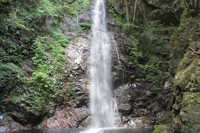 Tokyo Okutama Day trip Tour - Frequently Asked Questions